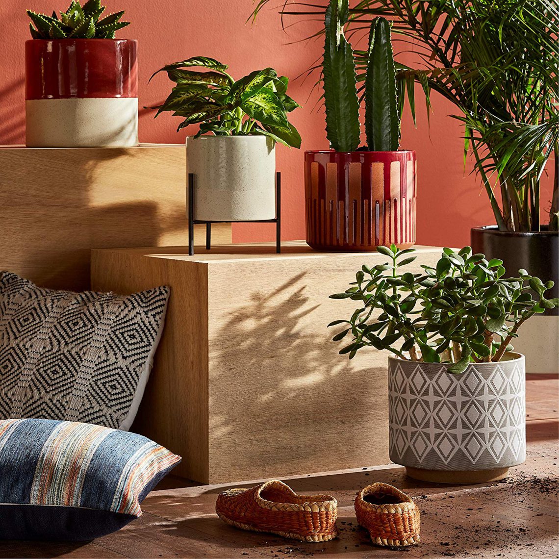 Planters You'll Love From Amazon - Plants Spark Joy