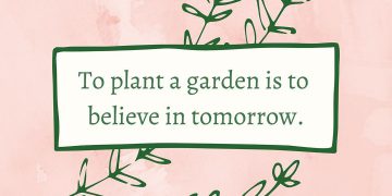 50 Quotes and Quips For Every Plant Lover - Plants Spark Joy