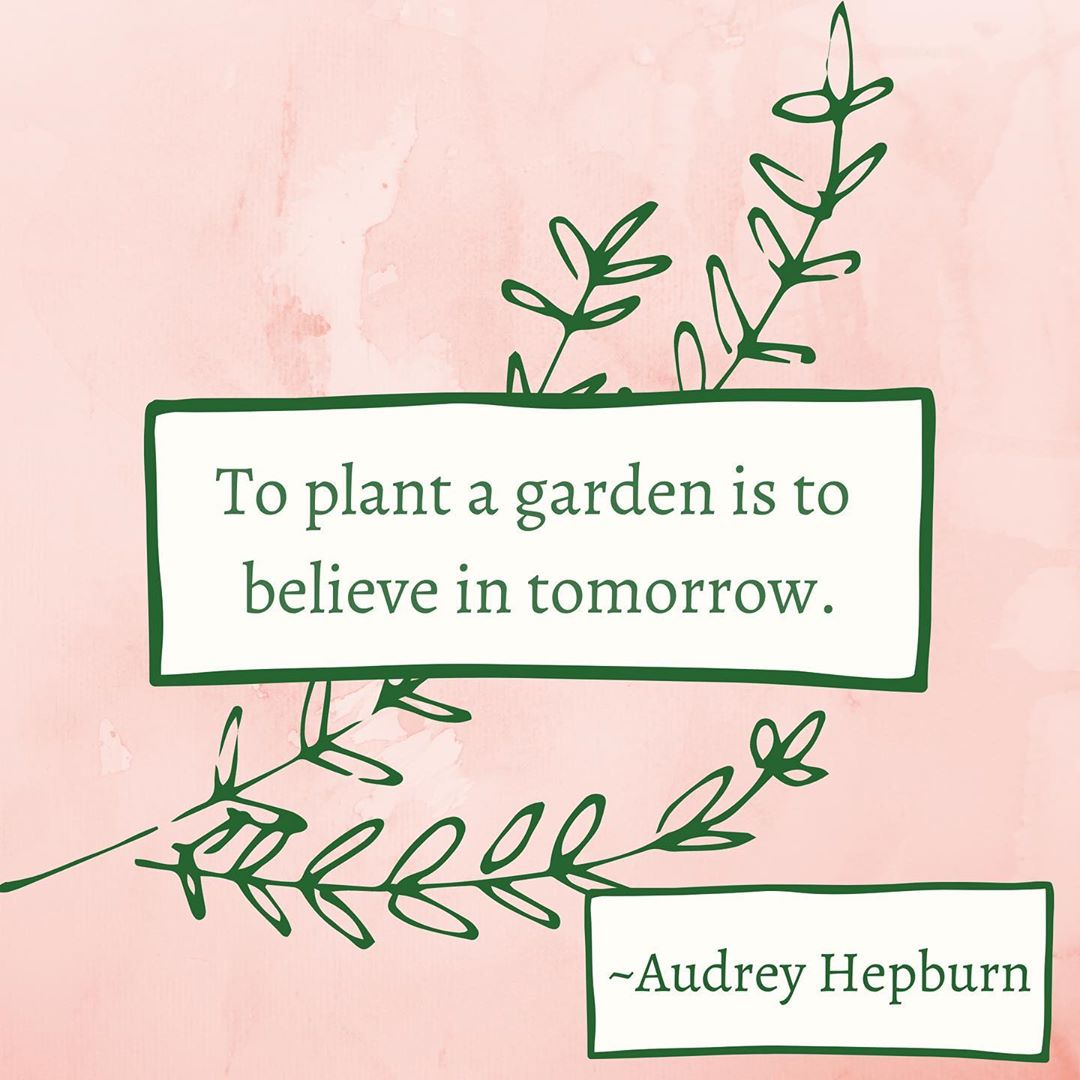 18 Love Planting Quotes TaylorVienna