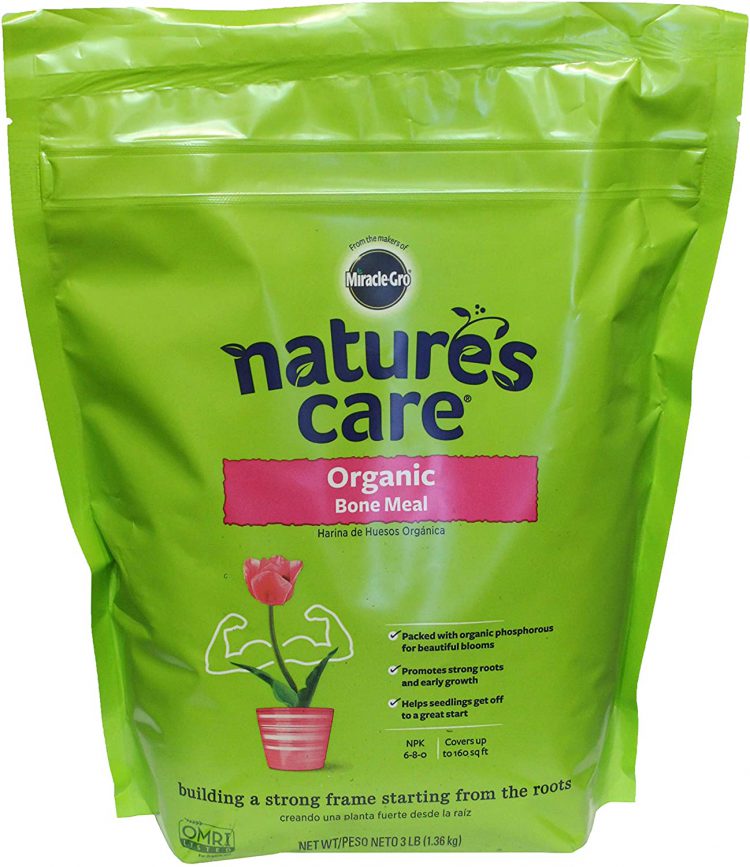 Bone Meal Fertilizer for Plants: The Ultimate Guide - Plants Spark Joy