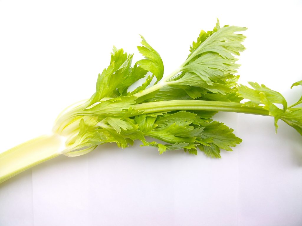 Regrow Celery at Home from Scraps - Plants Spark Joy