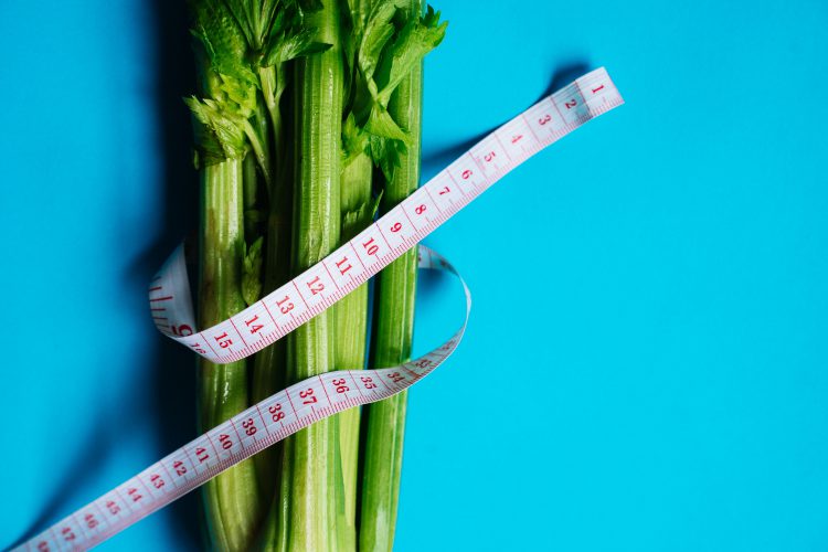 Regrow Celery at Home from Scraps - Plants Spark Joy