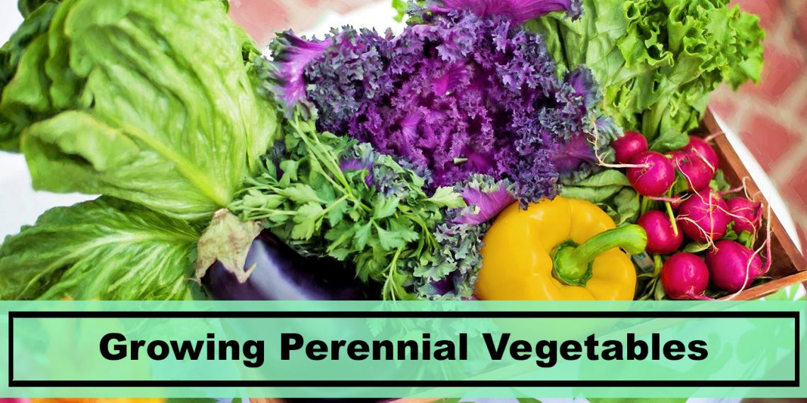 Ultimate List of Perennial Vegetables To Plant In Your Garden - Plants ...