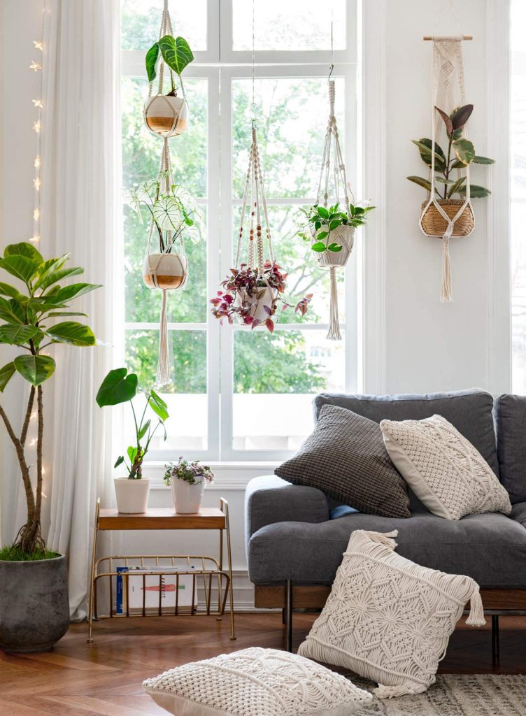 How To Turn Your So-So Room Into a Boho Paradise - Plants Spark Joy