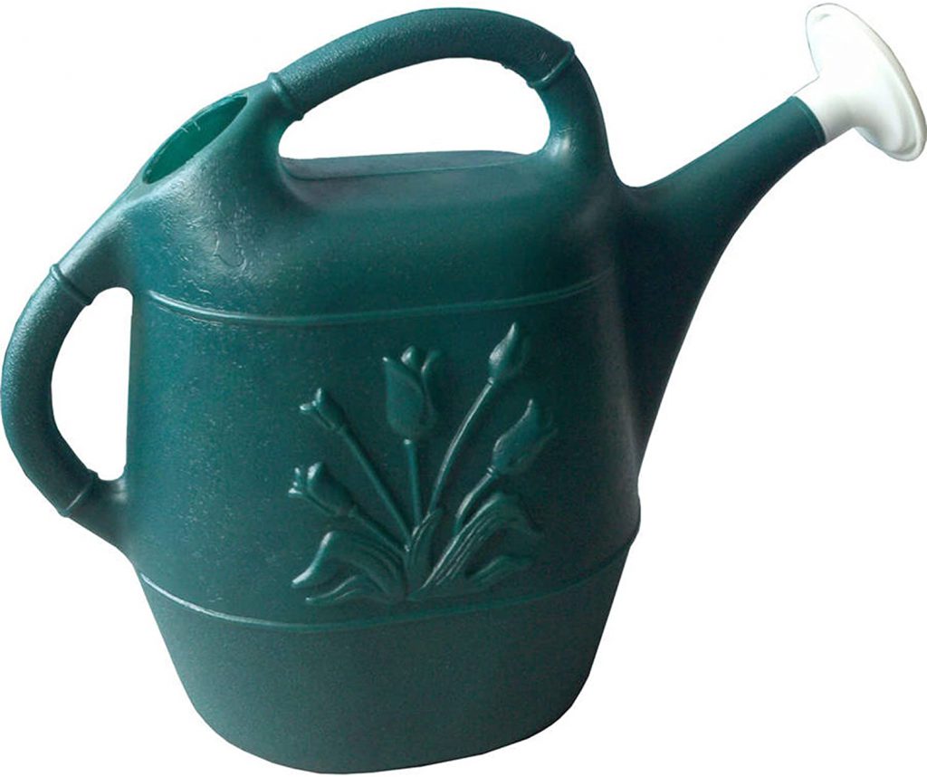5 Best Watering Cans for your Plants - Plants Spark Joy