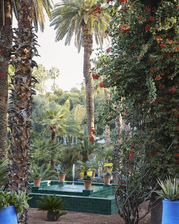 Jardin Majorelle Marrakech - The Beautiful Garden that Inspired This ...