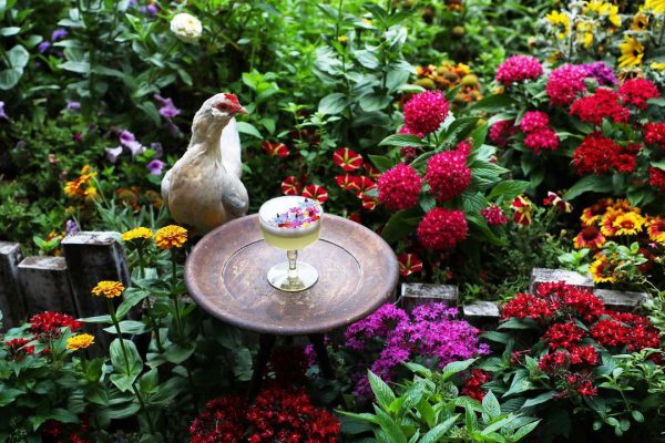 7 Deliciously Good Cocktail Drinks Inspired by the Garden - Plants ...