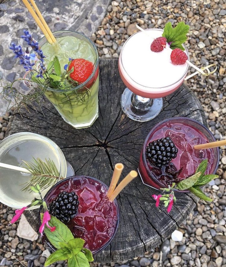 7 Deliciously Good Cocktail Drinks Inspired by the Garden - Plants ...