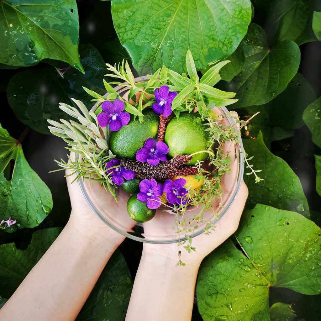 7 Deliciously Good Cocktail Drinks Inspired by the Garden - Plants ...