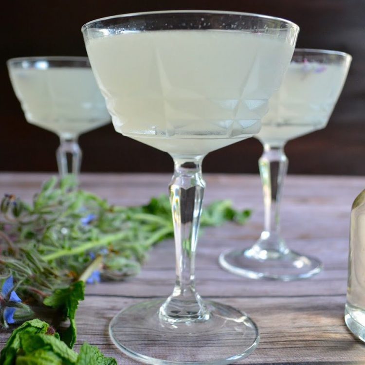 7 Deliciously Good Cocktail Drinks Inspired by the Garden - Plants ...