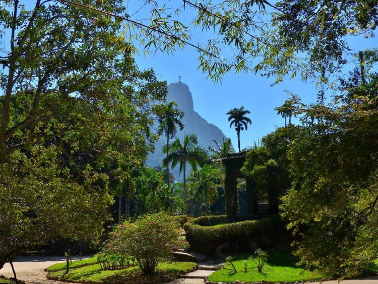 Jardim Botânico: The Peaceful Botanical Garden in Rio De Janeiro ...