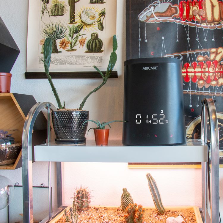 AIRCARE Humidifier - Perfect for your Urban Jungle - Plants Spark Joy
