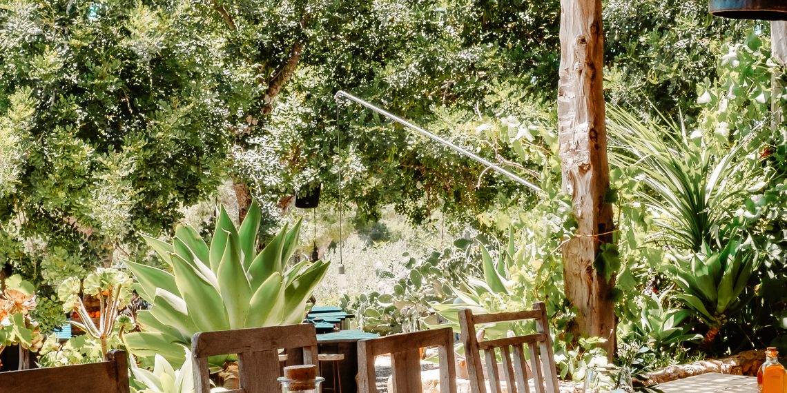 A Primer on Farm-to-table Movement: Benefits and Challenges - Plants ...