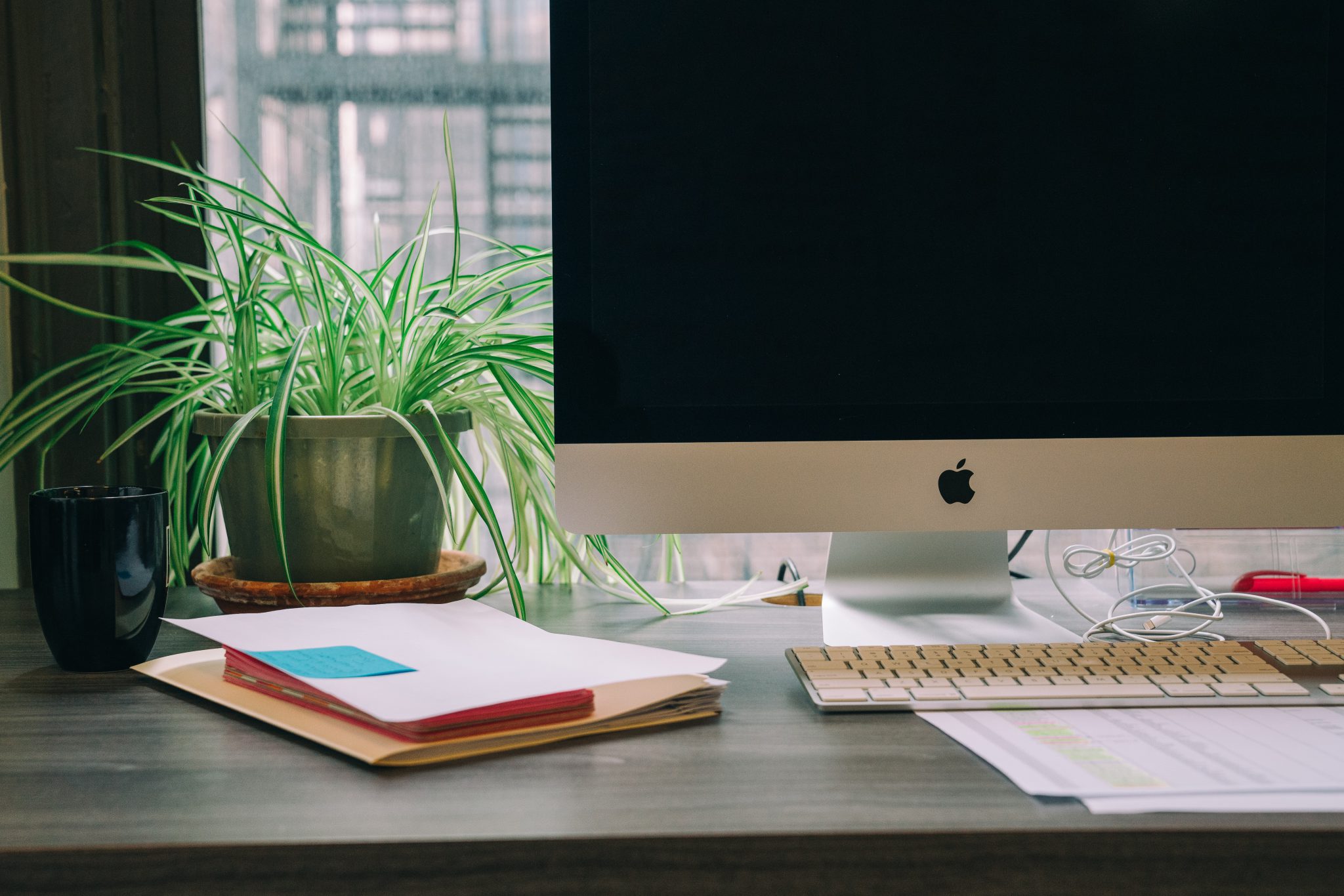 10 Best Office Desk Plants & Benefits - Plants Spark Joy