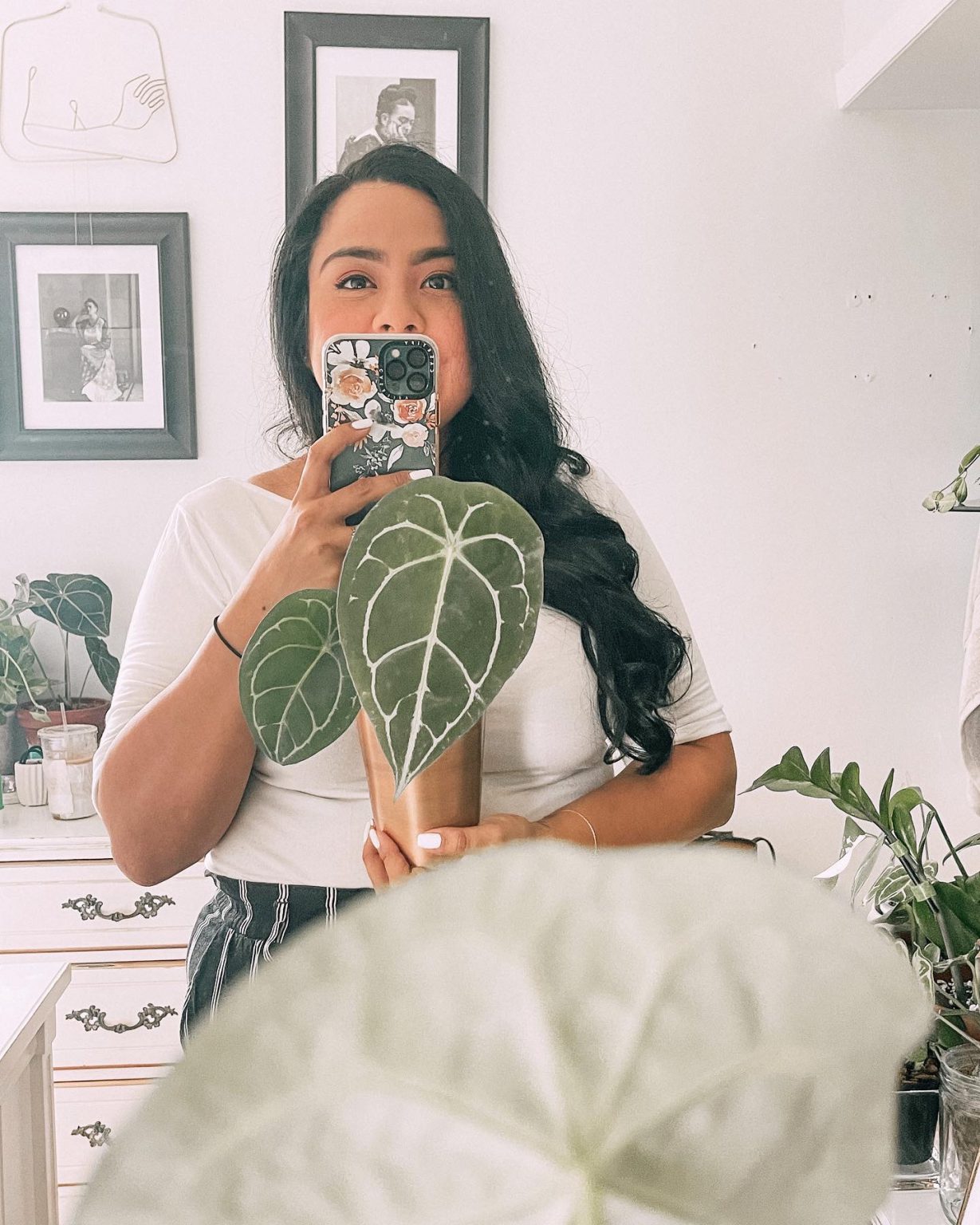 Discovering Gloria: A Journey of Plants, Patience, and Passion - Plants ...