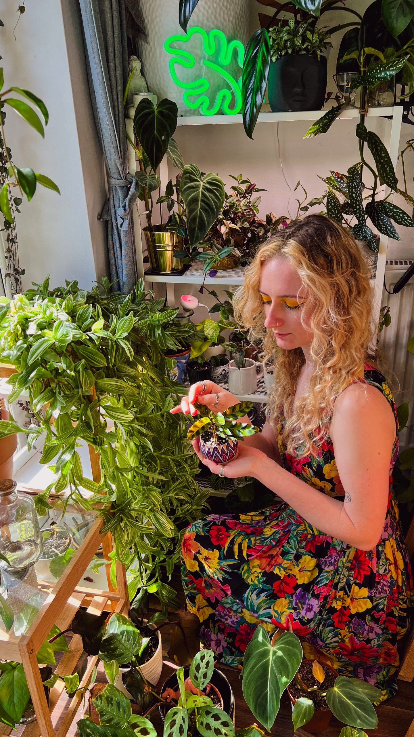 Stacy's Green Voyage: From Graphic Designer to Plant Aficionado ...