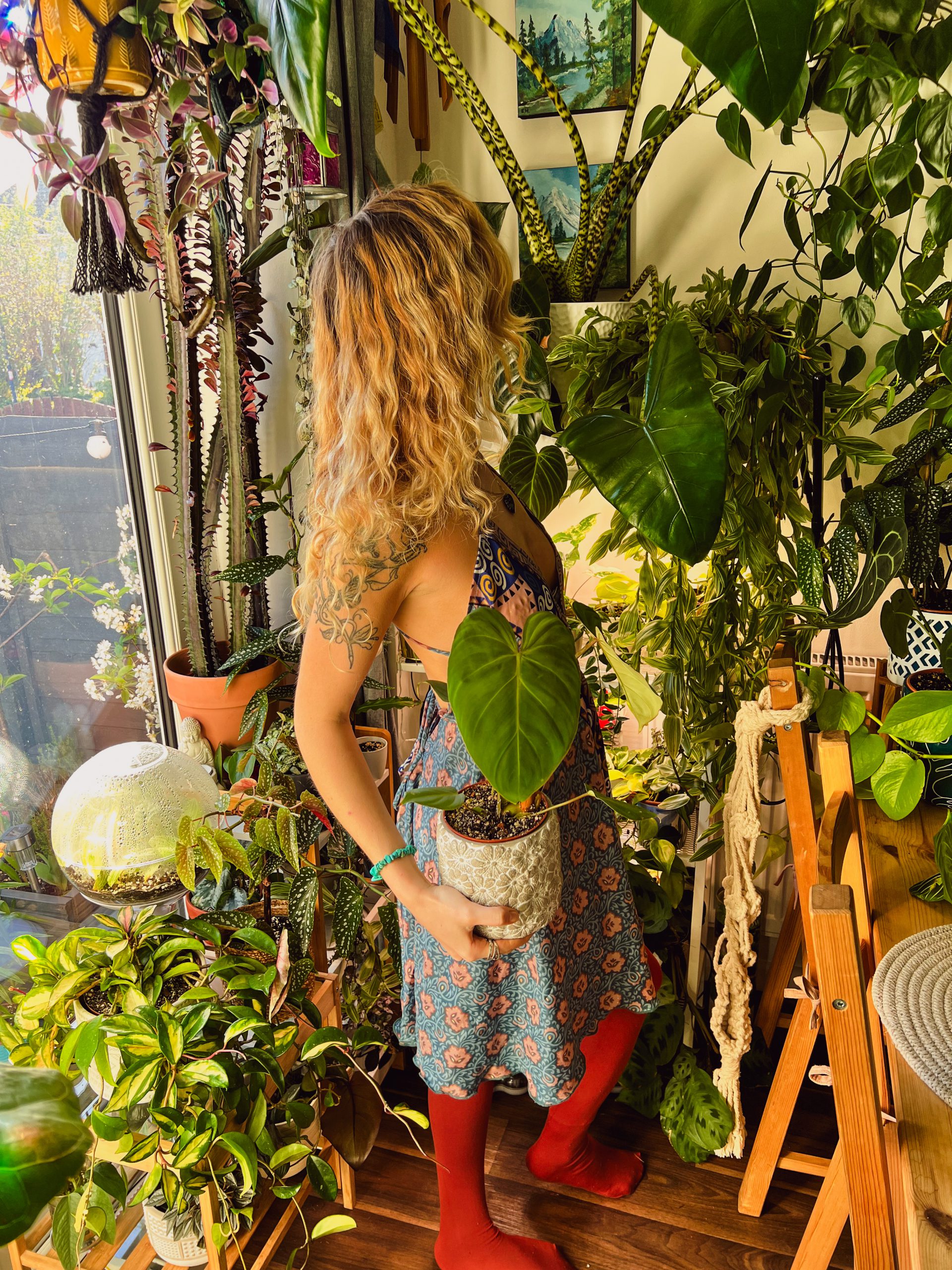 Stacy's Green Voyage: From Graphic Designer to Plant Aficionado ...