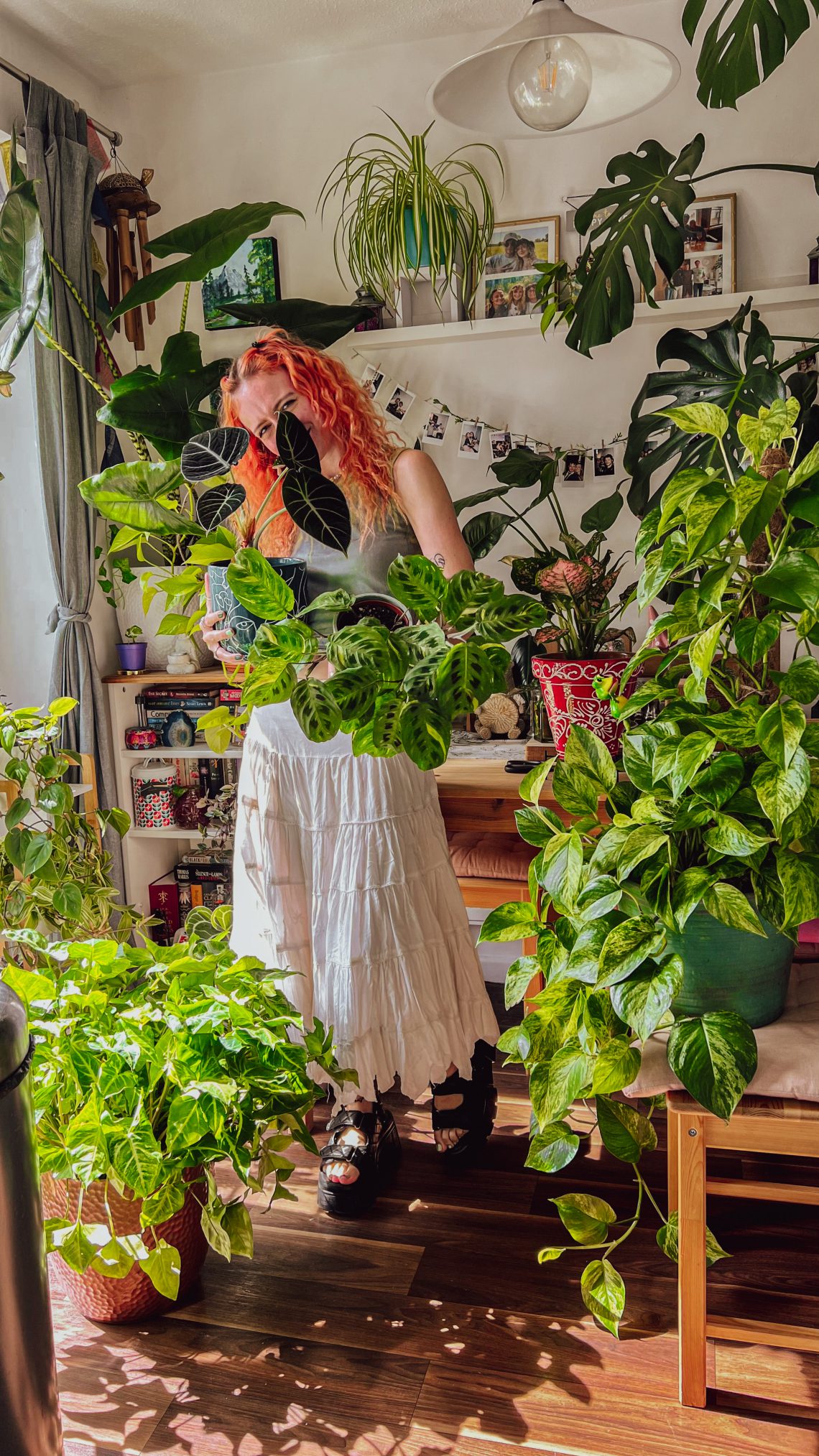 Stacy's Green Voyage: From Graphic Designer to Plant Aficionado ...